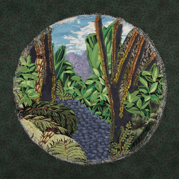 Dudley Benson 『The Awakening』『Forest : Songs by Hirini Melbourne ...